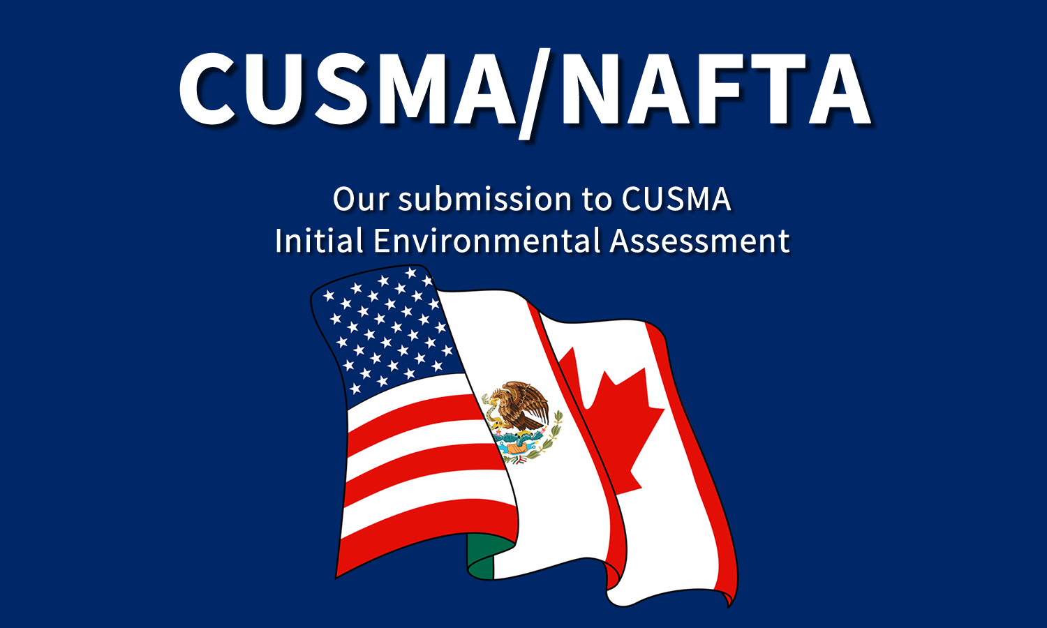 OPEN LETTER: Our Submission to the CUSMA Initial Environmental ...